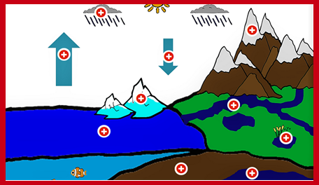 Hydrosphere - RUVIVAL Toolbox