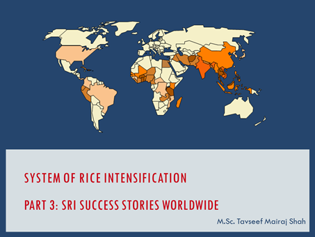 System of Rice Intensification, Part 2: SRI Principles and Relevance