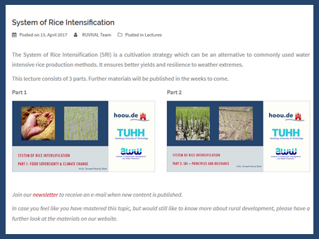 System of Rice Intensification, Part 4: SRI with Intercropping - RUVIVAL