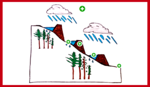 Check dams, an alternative erosion control measure - RUVIVAL Toolbox