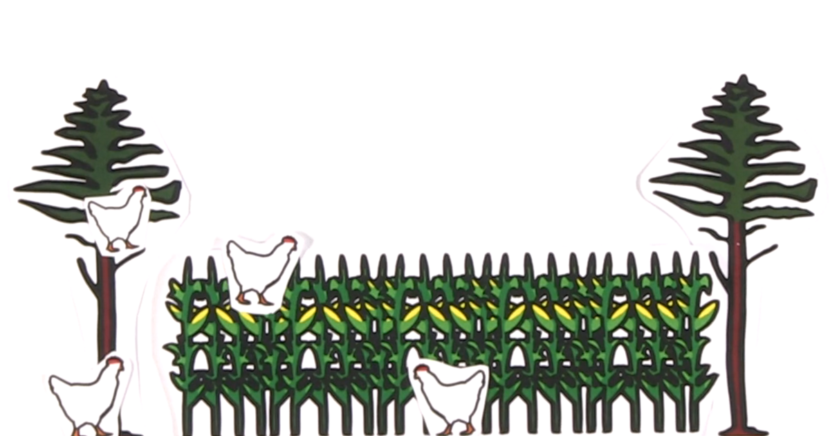 Agro-silvopastoral system