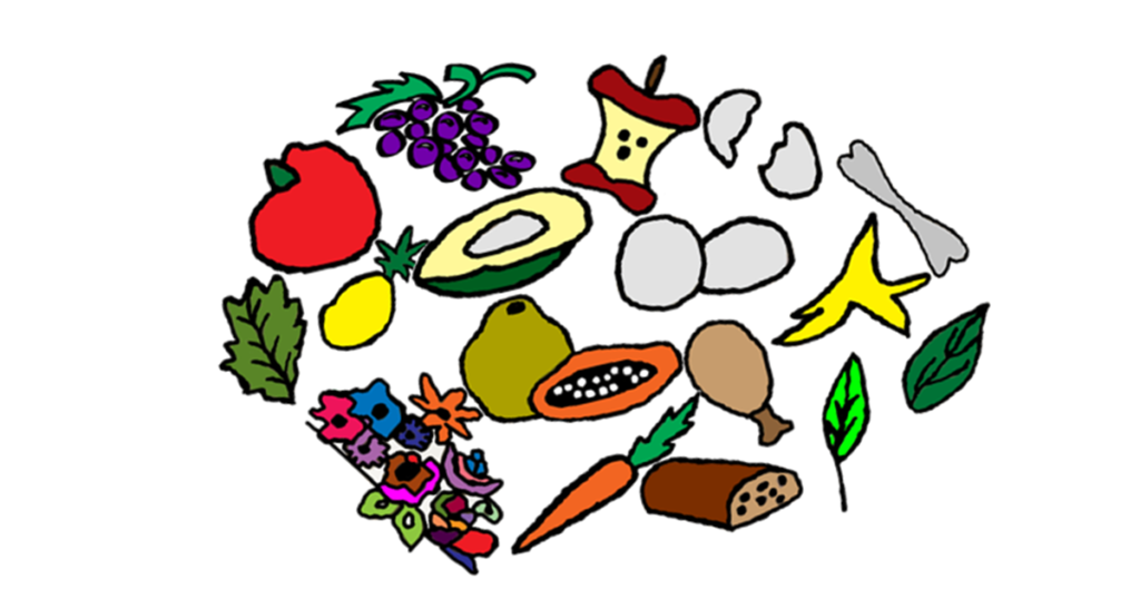 Biowaste Usage Quiz - RUVIVAL Toolbox